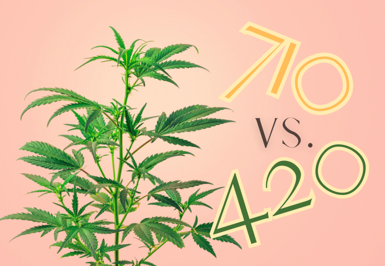 710: Celebrate International Hemp Oil Day!