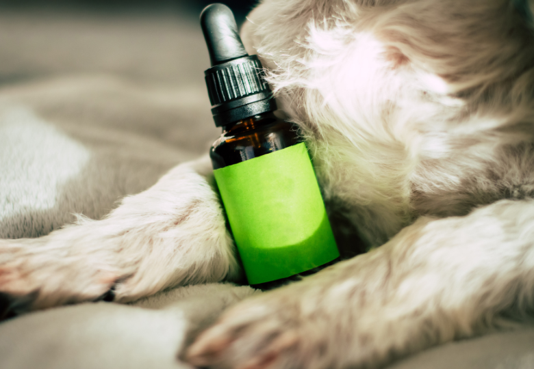 CBD for Dogs: Safety and Dosage for Your Pets