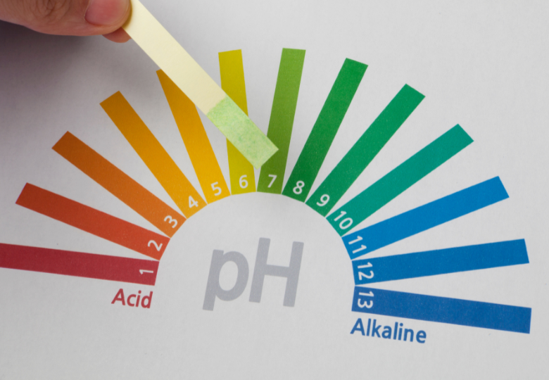 The Effect of pH on Cannabis Growth: Why the Right pH is Important for ...